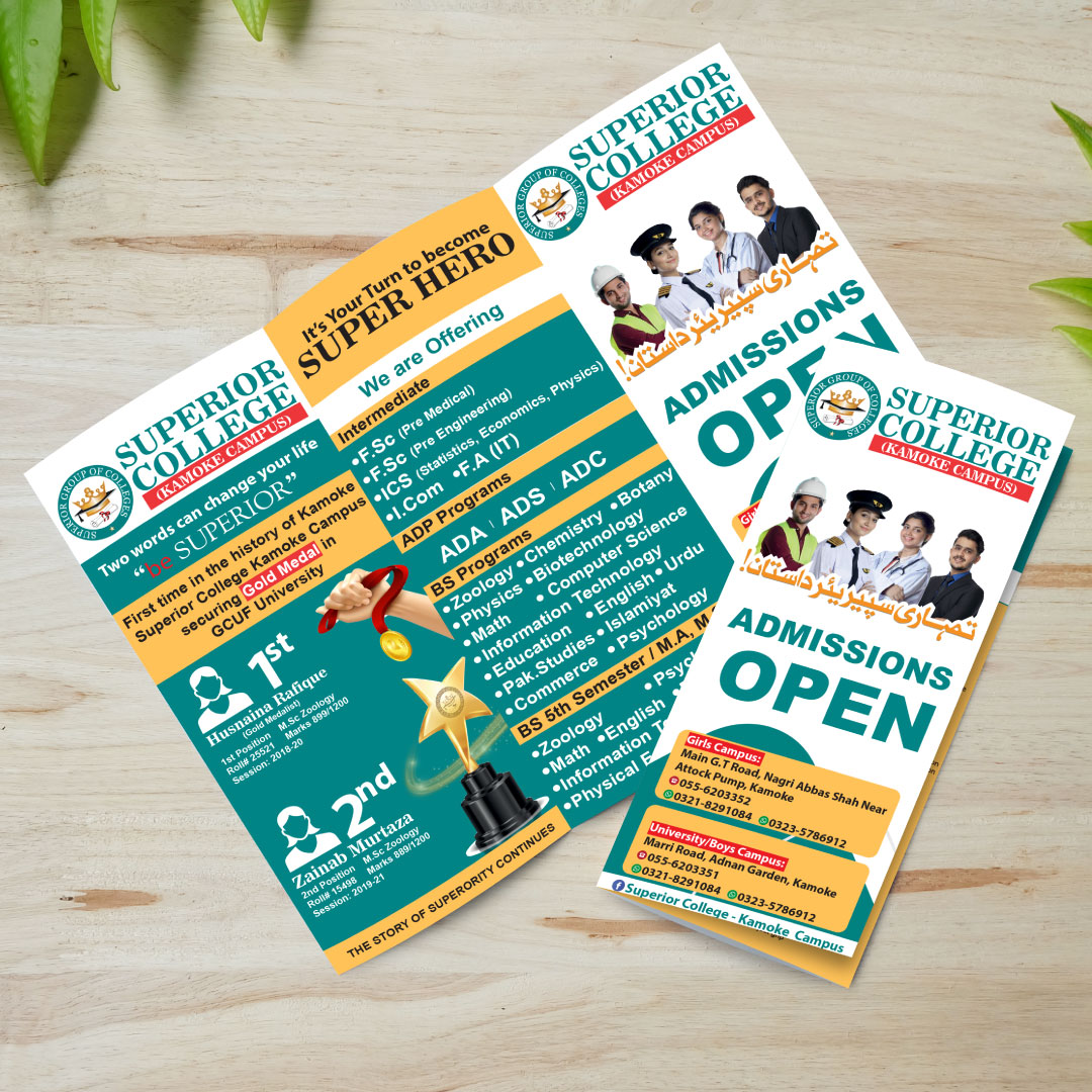 Flyer - My Solution Zone